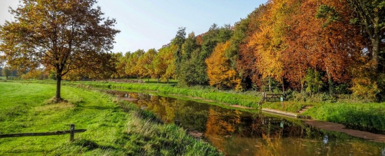 Activiteit: Natuurwandeling Eefde - Berkelroute - donderdag 24 november ...